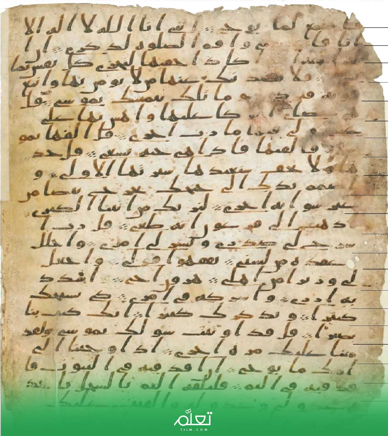 كيف بدأ التشكيل العربي؟ اعرف القصة الكاملة بين الدؤلي والفراهيدي ...