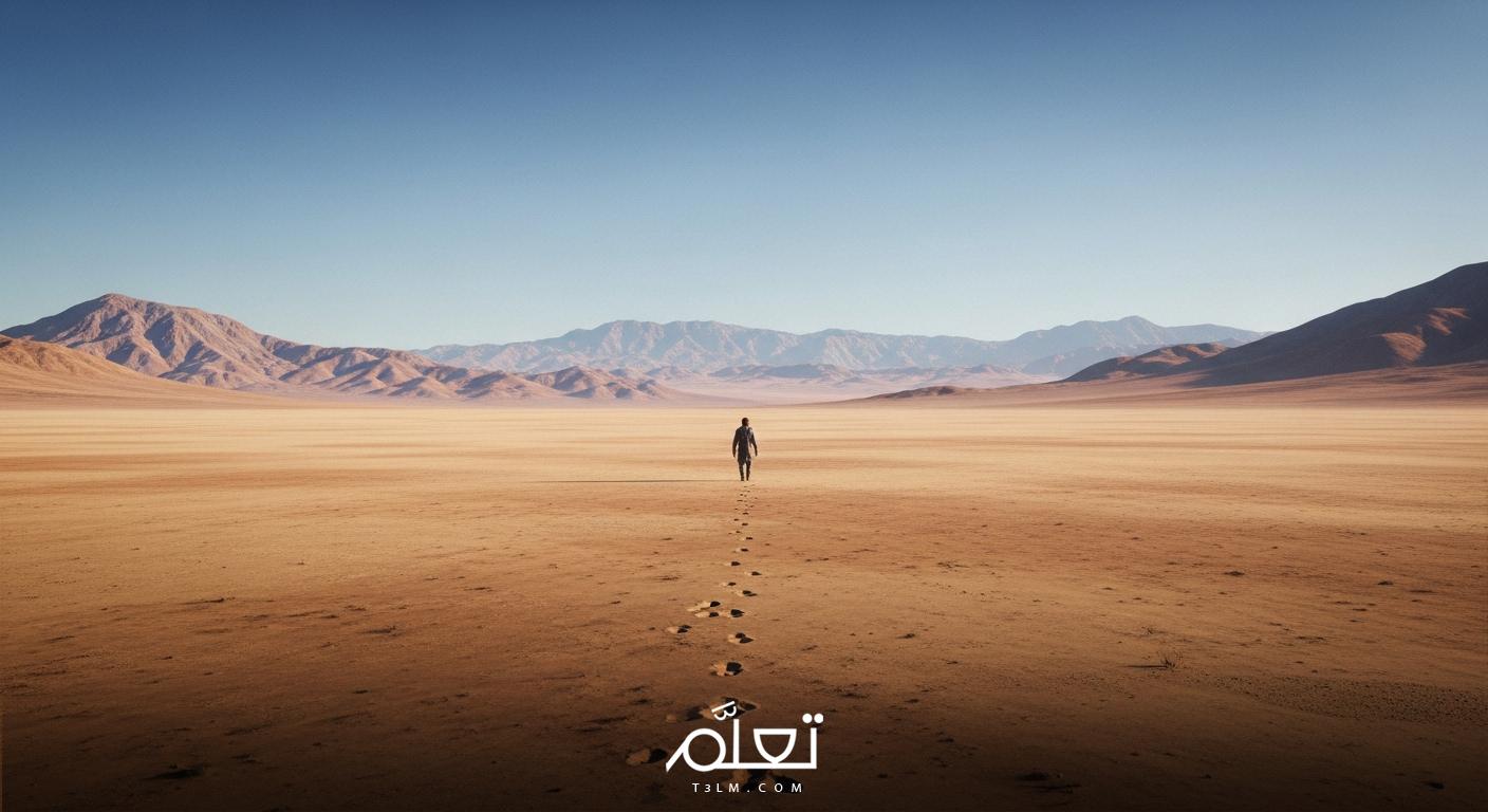 اللقطات السينمائية كما لم ترَها من قبل: دليل مبسّط لمحبي الفن البصري ...